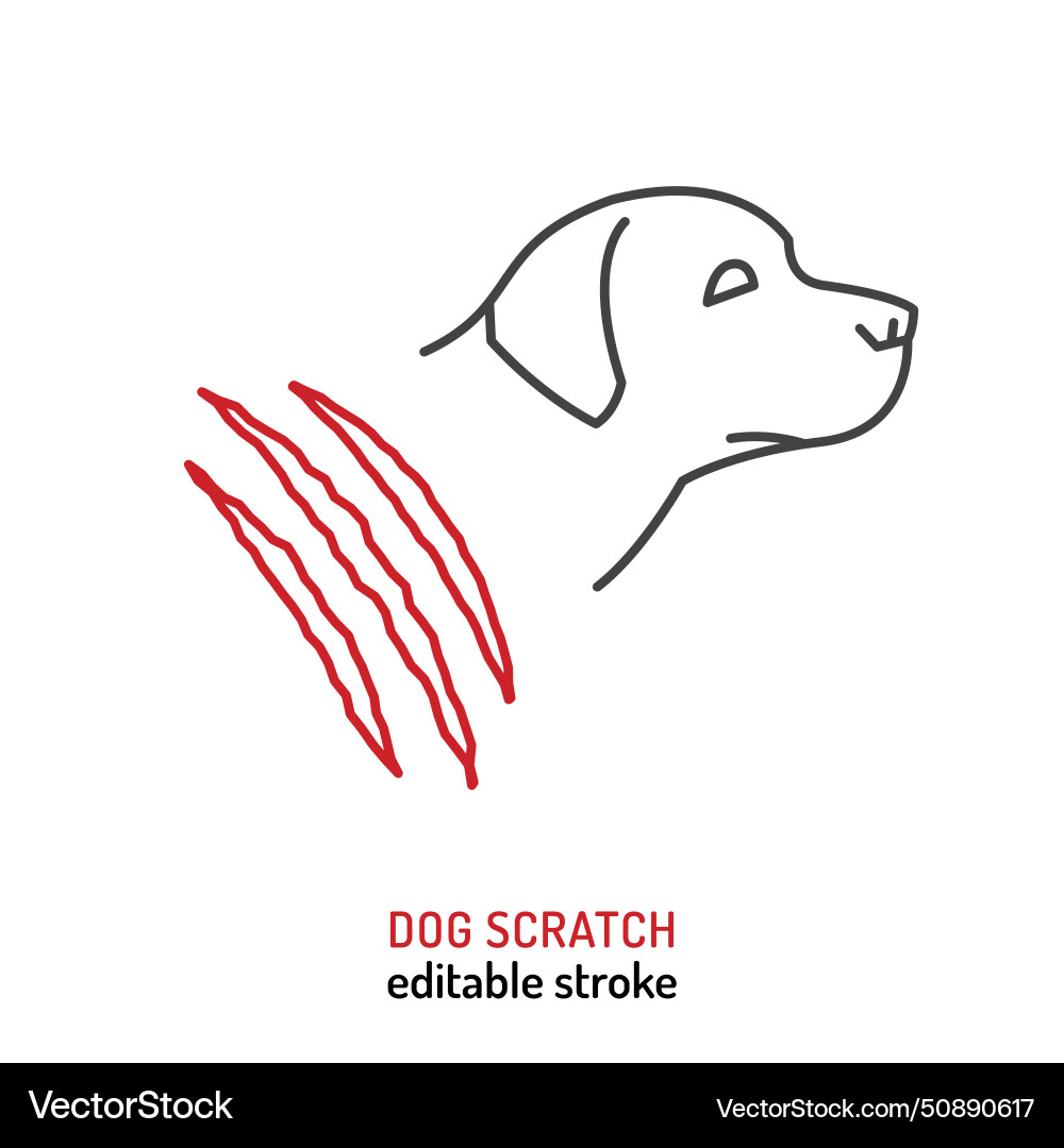 Dog scratch common pet behavior symbol excessive Vector Image