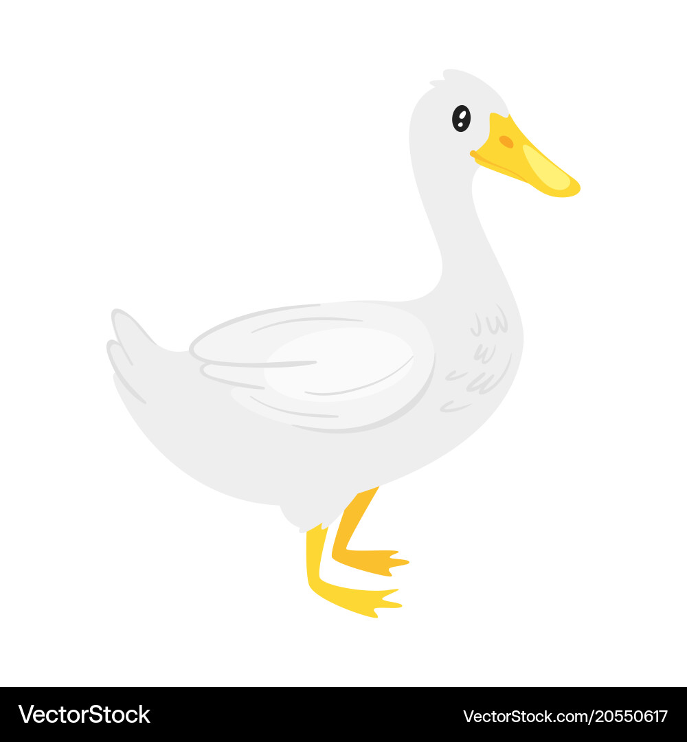 Farm Animals Duck Clip Art