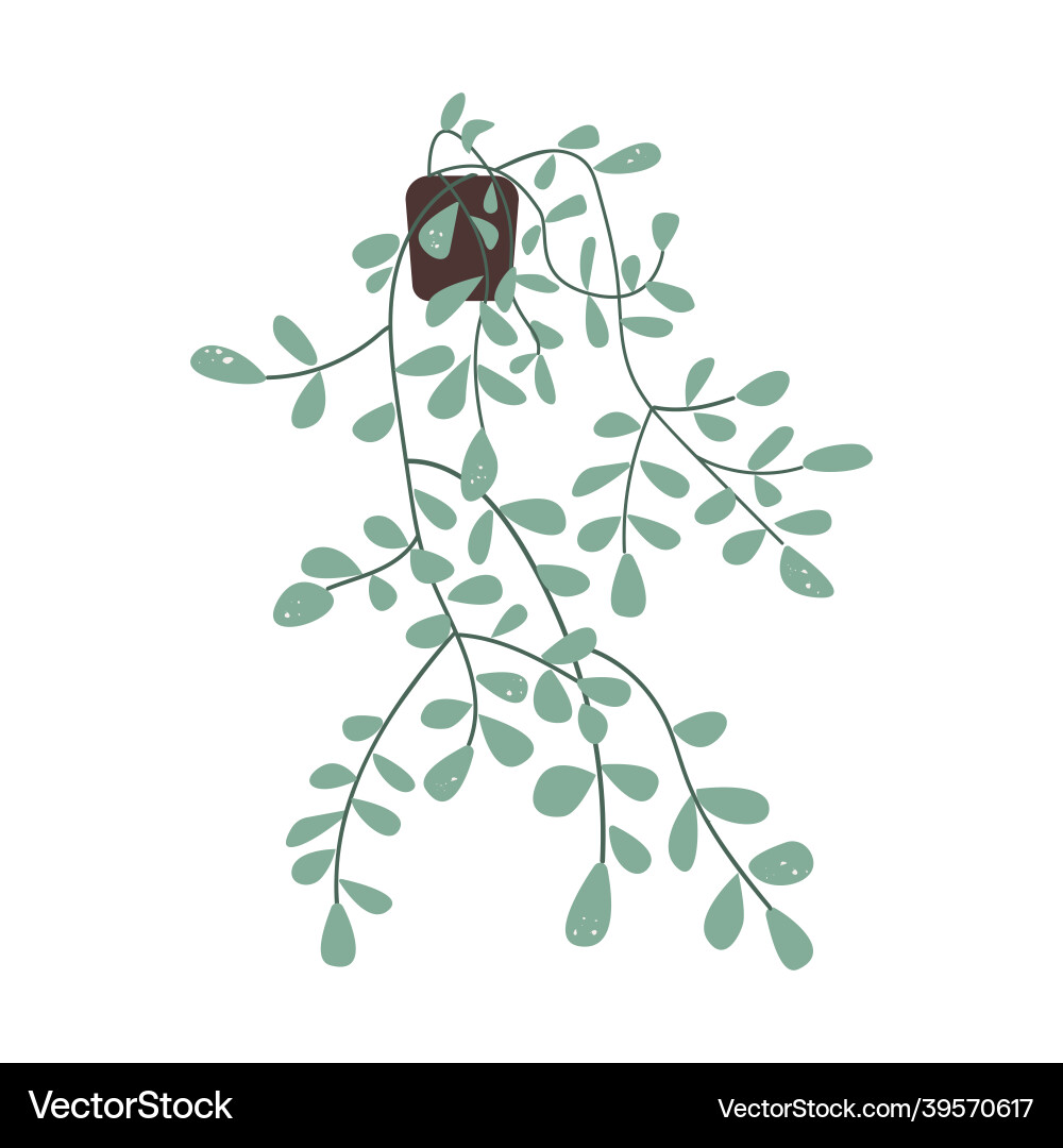 Green Hanging Creeper Plant Royalty Free Vector Image