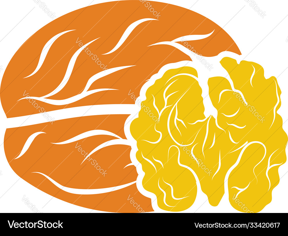 Walnut icon Royalty Free Vector Image - VectorStock