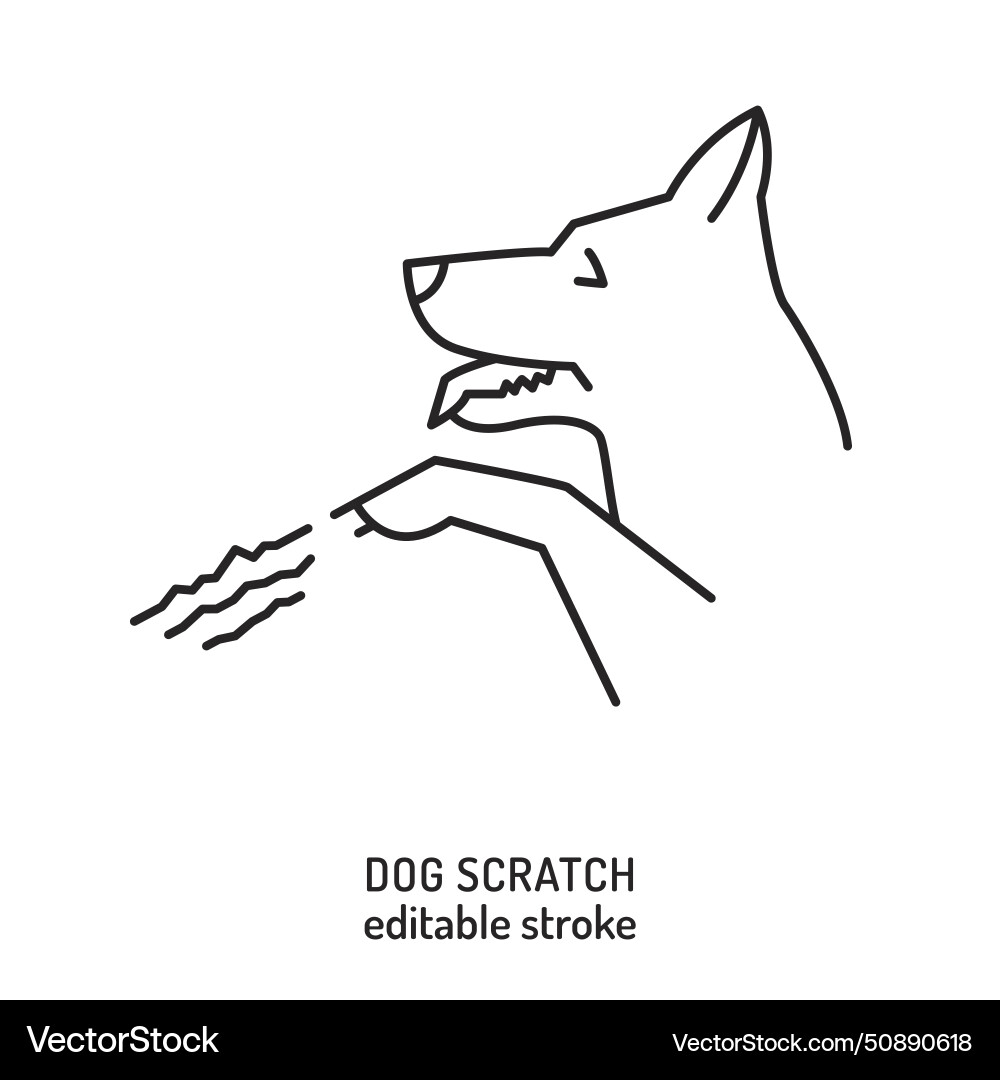 Dog scratch common pet behavior symbol excessive Vector Image