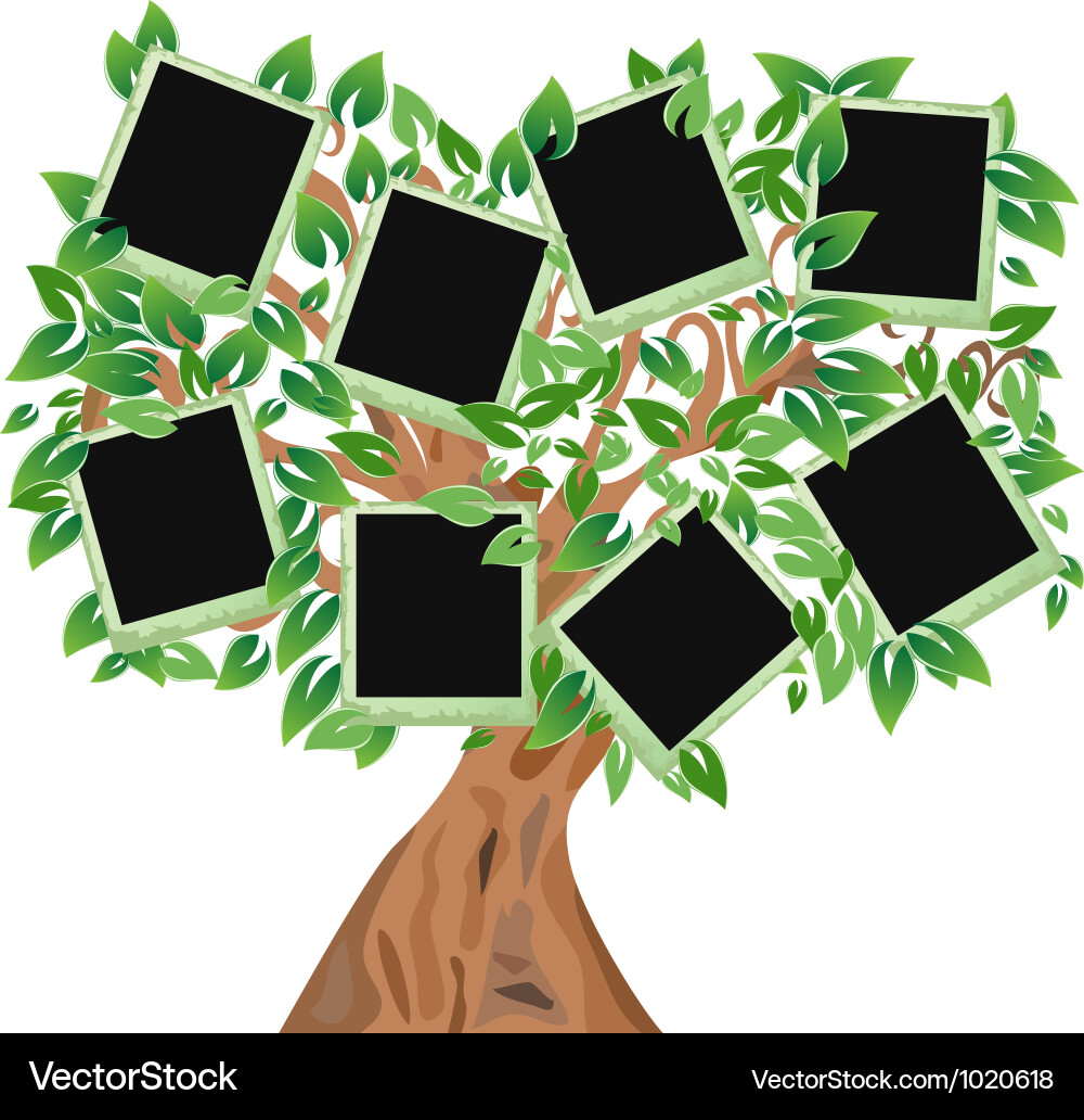 Green tree with frames for your photos Royalty Free Vector