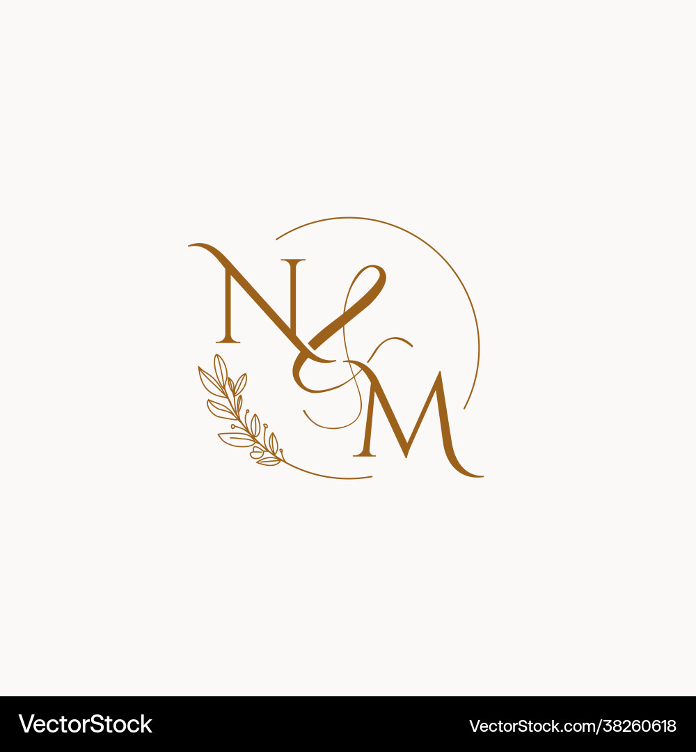 Nm initial wedding monogram logo Royalty Free Vector Image