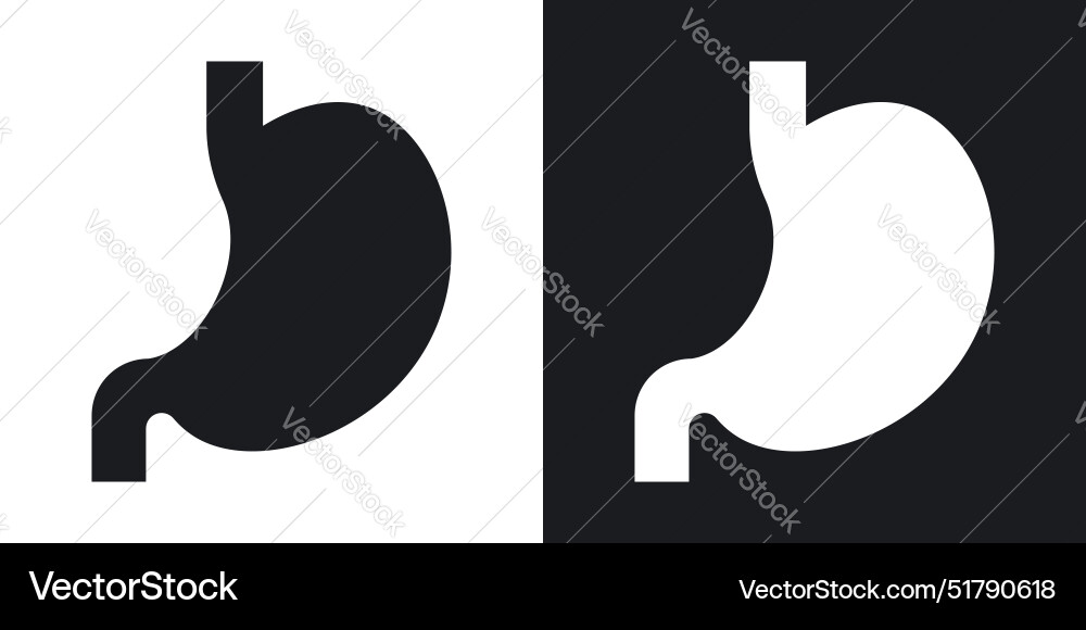 Stomach icon Royalty Free Vector Image - VectorStock