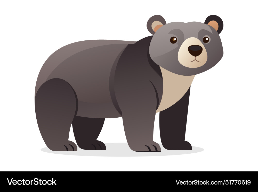 Bear flat animal pro style Royalty Free Vector Image