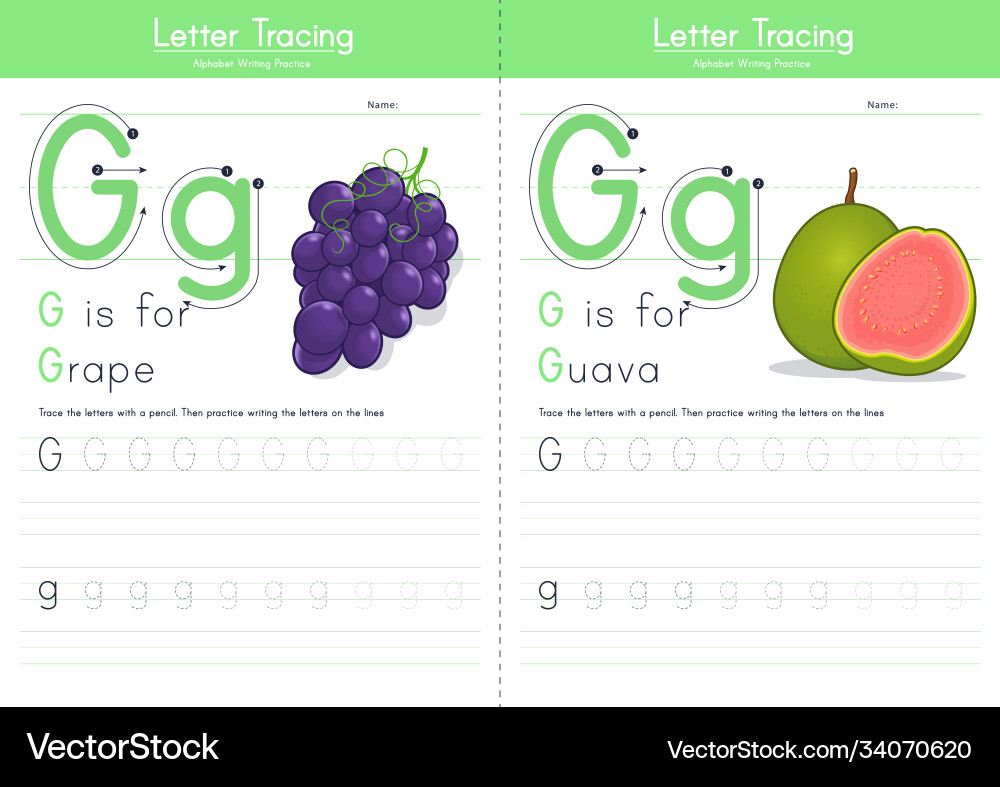 Letter G Tracing - Grape & Guava Royalty Free Vector