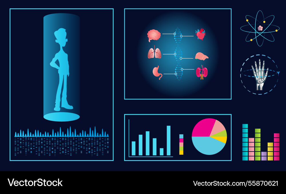 Infographic of human body and organs Royalty Free Vector