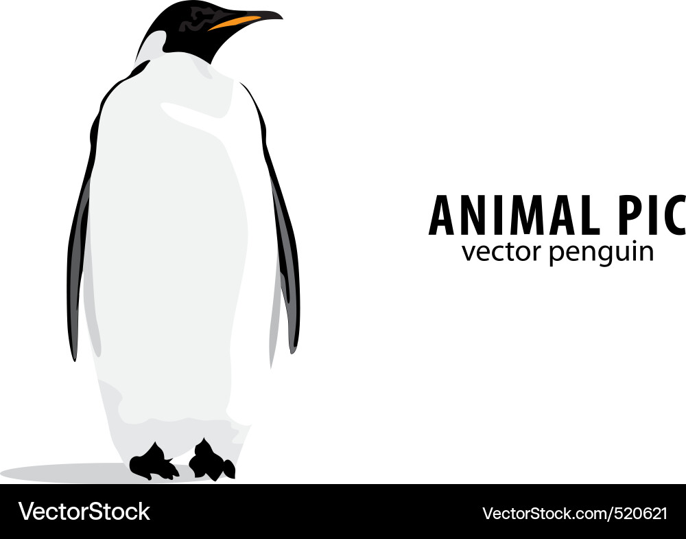Pinguin Royalty Free Vector Image - VectorStock