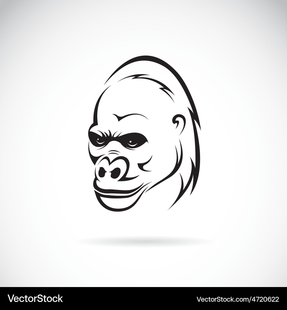 Gorilla Royalty Free Vector Image - VectorStock