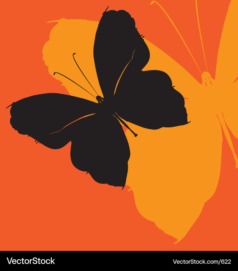 Ink Butterfly Motif Royalty Free Vector Image - VectorStock