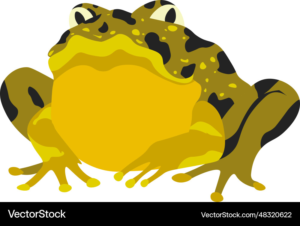 Large toad frog with spots on skin amphibians Vector Image