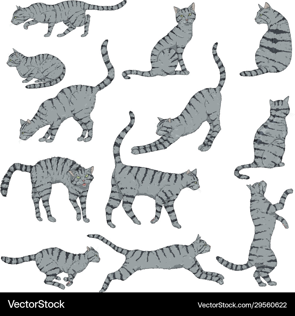 Set cartoon striped cats Royalty Free Vector Image