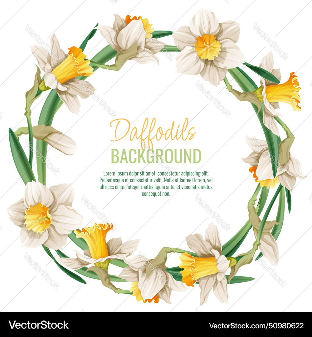 Spring background with daffodils postcard banner Vector Image