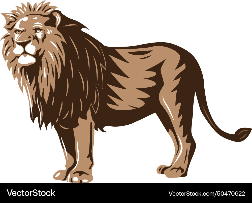 Wild lion standing isolated Royalty Free Vector Image