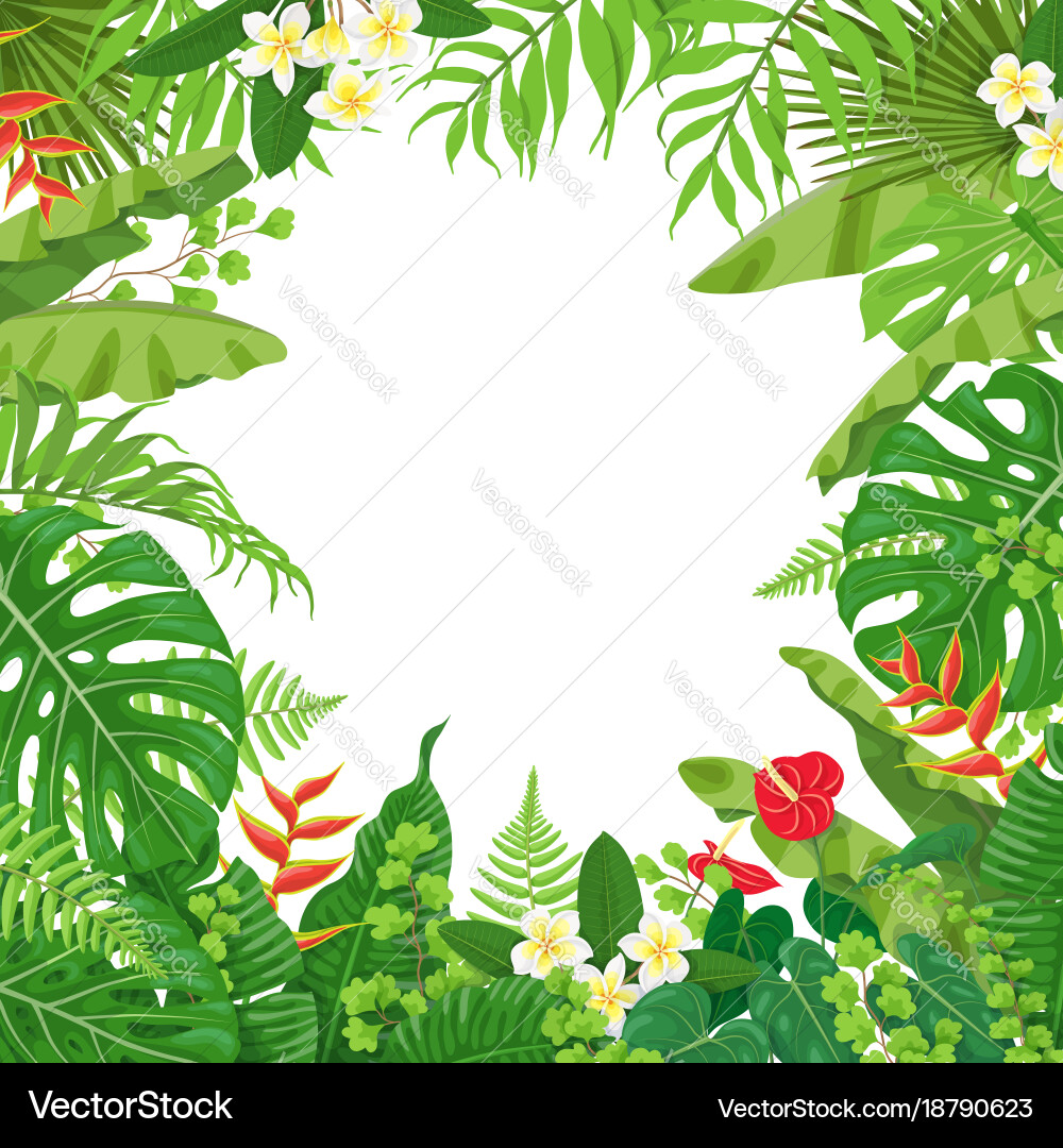 Colorful background with tropical plants Vector Image
