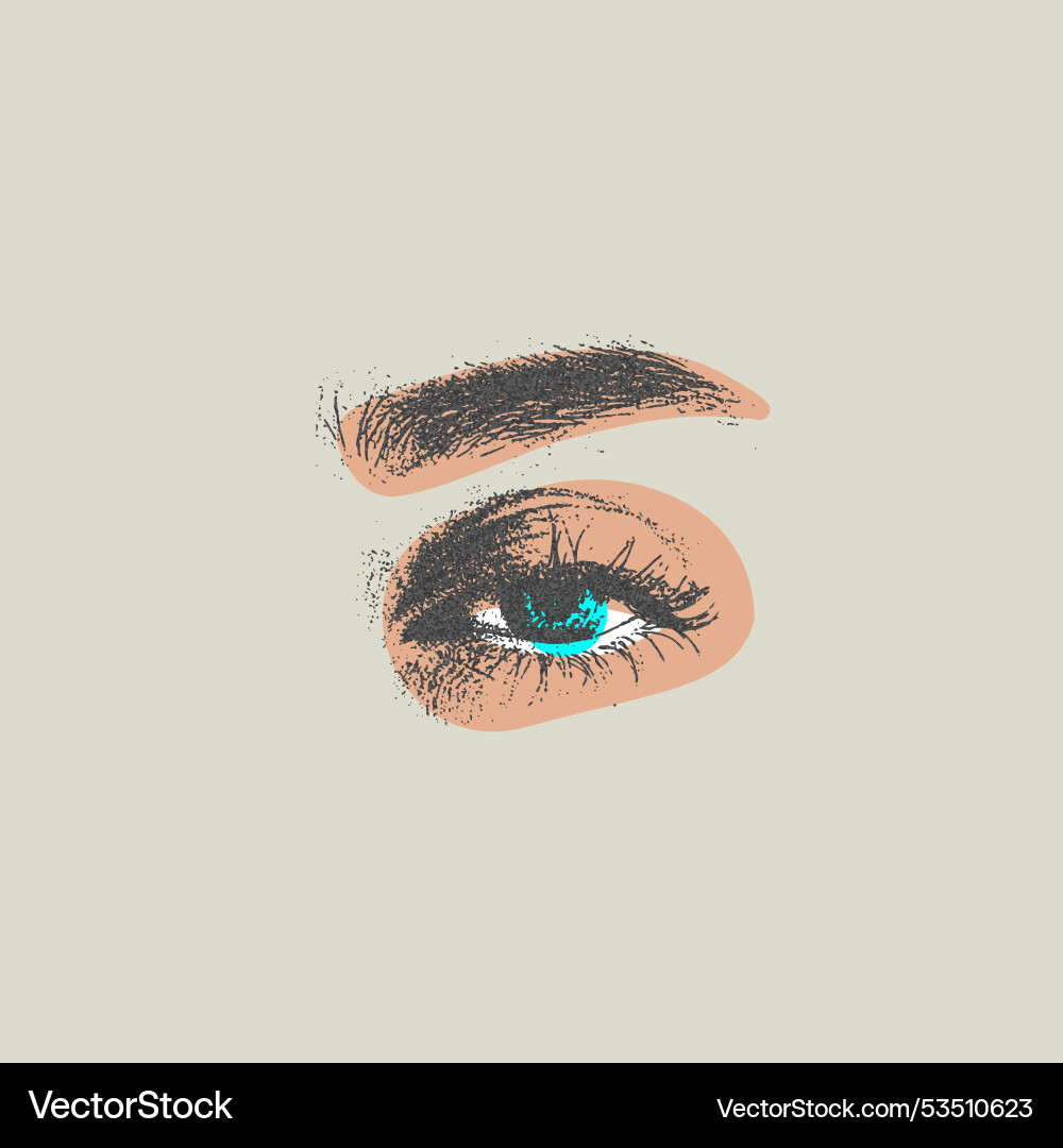 Female eye with eyebrow Royalty Free Vector Image
