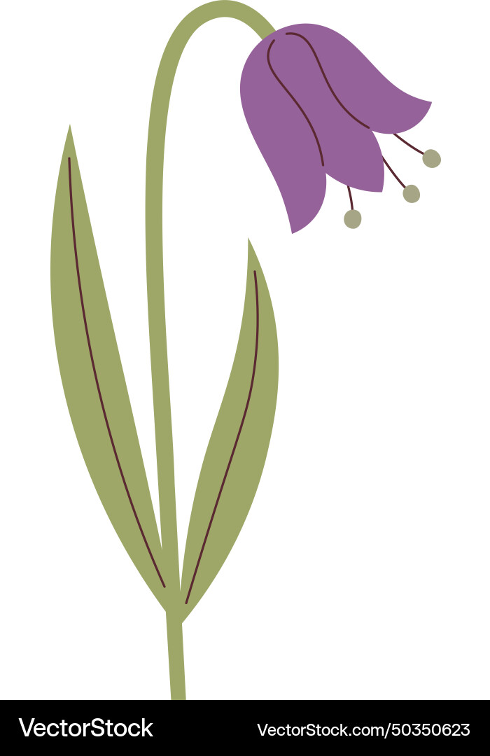 Spring flower plant Royalty Free Vector Image - VectorStock