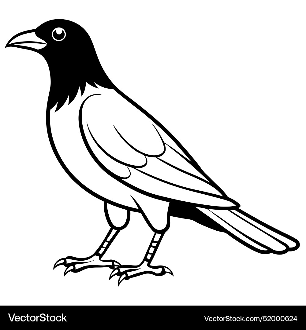 Chough bird stands icon Royalty Free Vector Image