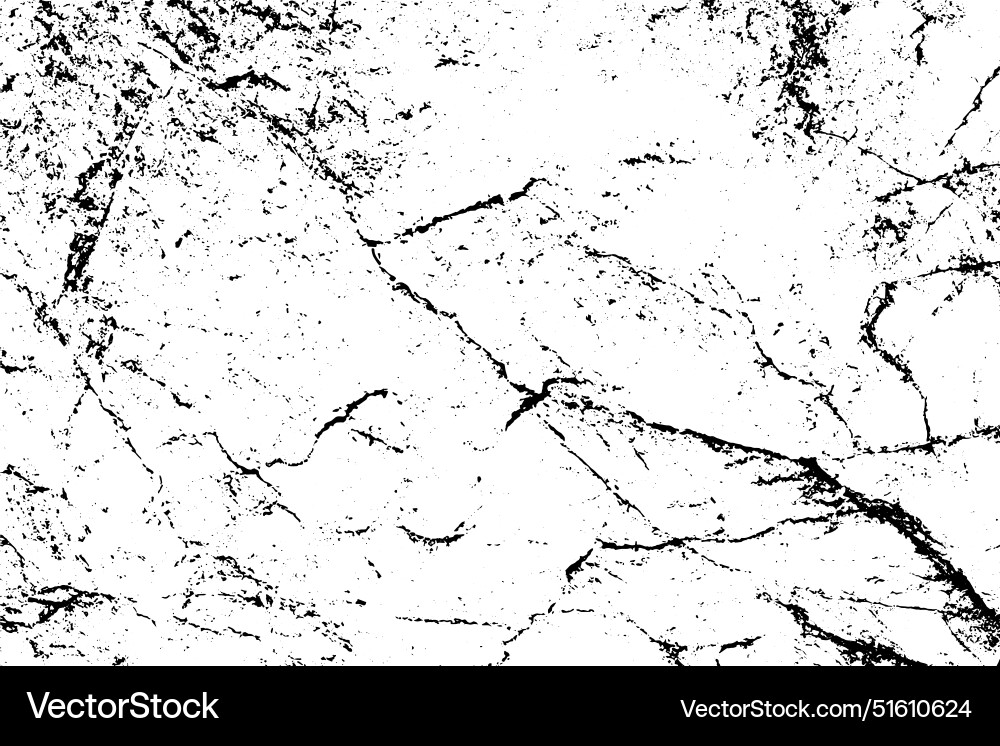 Cracks rock texture white and black Royalty Free Vector