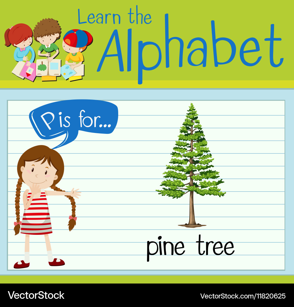 Flashcard letter p is for pine tree Royalty Free Vector