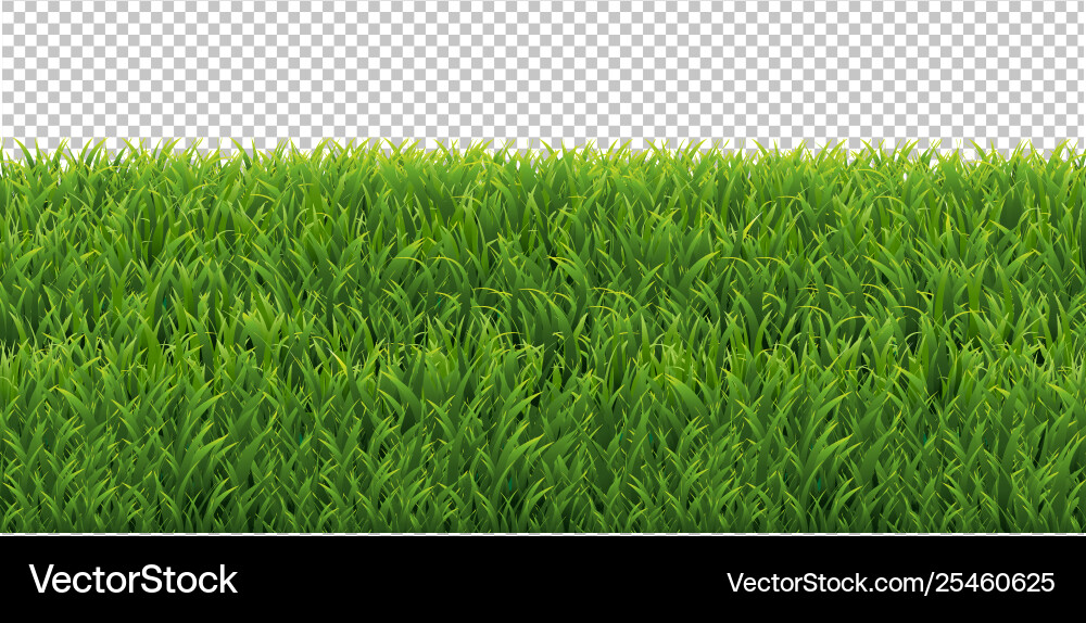 Green grass frame transparent background Vector Image