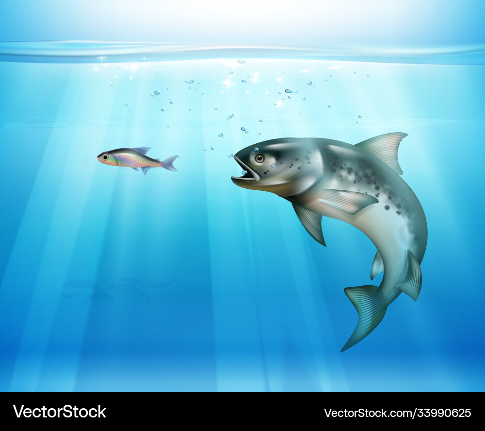 Hunting fish realistic background Royalty Free Vector Image