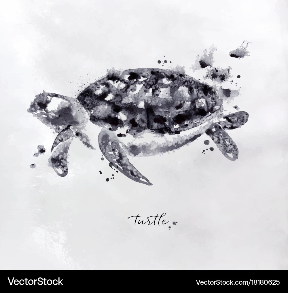 Monotype turtle black Royalty Free Vector Image