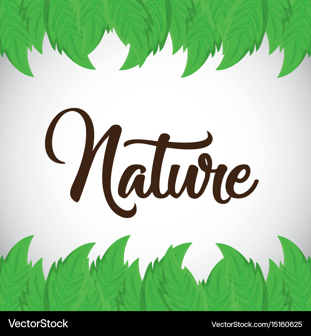 Nature and leaves design Royalty Free Vector Image