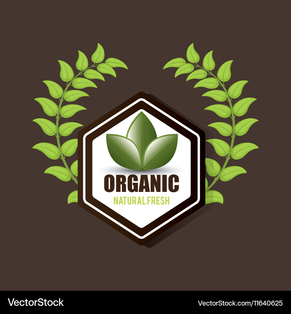 Organic food product Royalty Free Vector Image