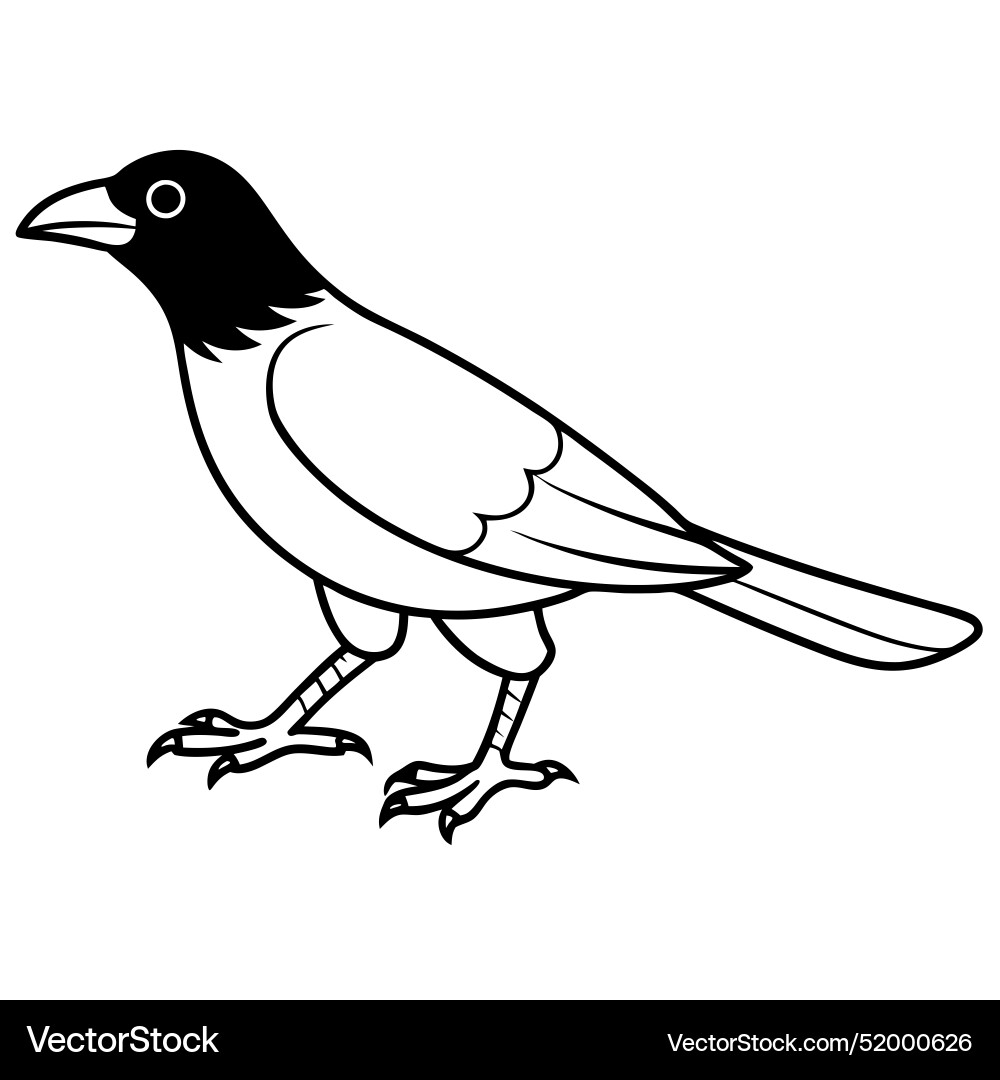Chough bird walks icon Royalty Free Vector Image