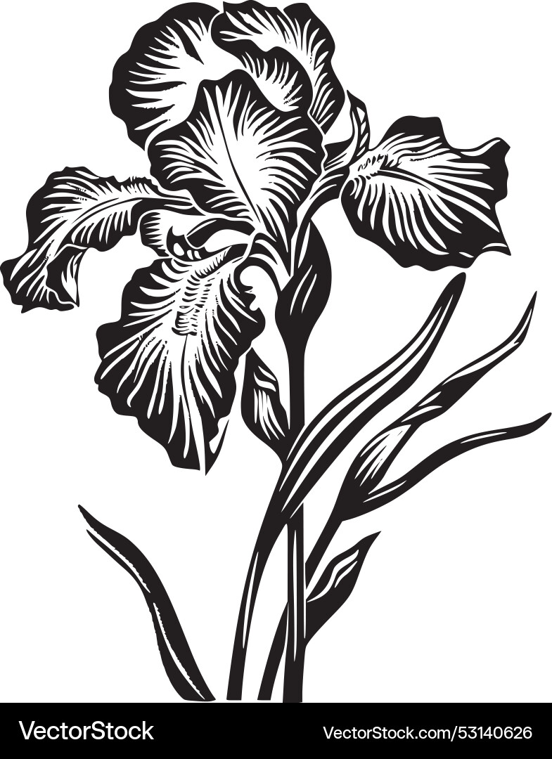 Flower Royalty Free Vector Image - VectorStock