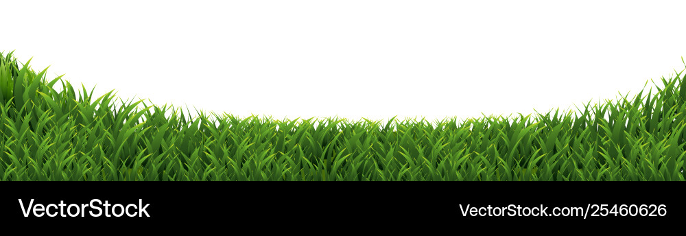 Green grass isolated Royalty Free Vector Image