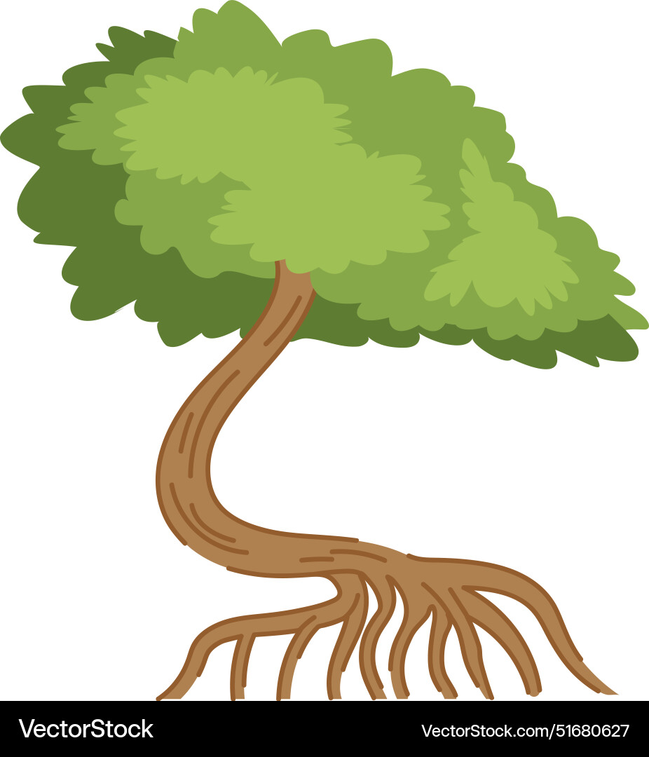 Vibrant mangrove tree and roots Royalty Free Vector Image