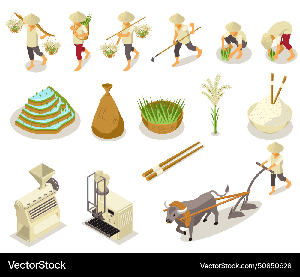 Rice production icon set Royalty Free Vector Image