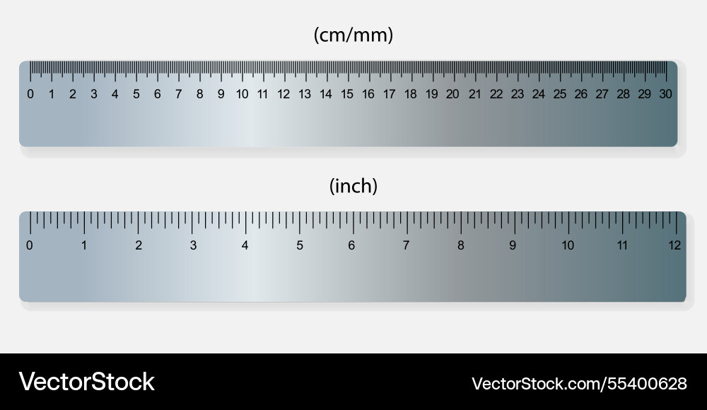 Rulers marked in centimeters and inches Royalty Free Vector