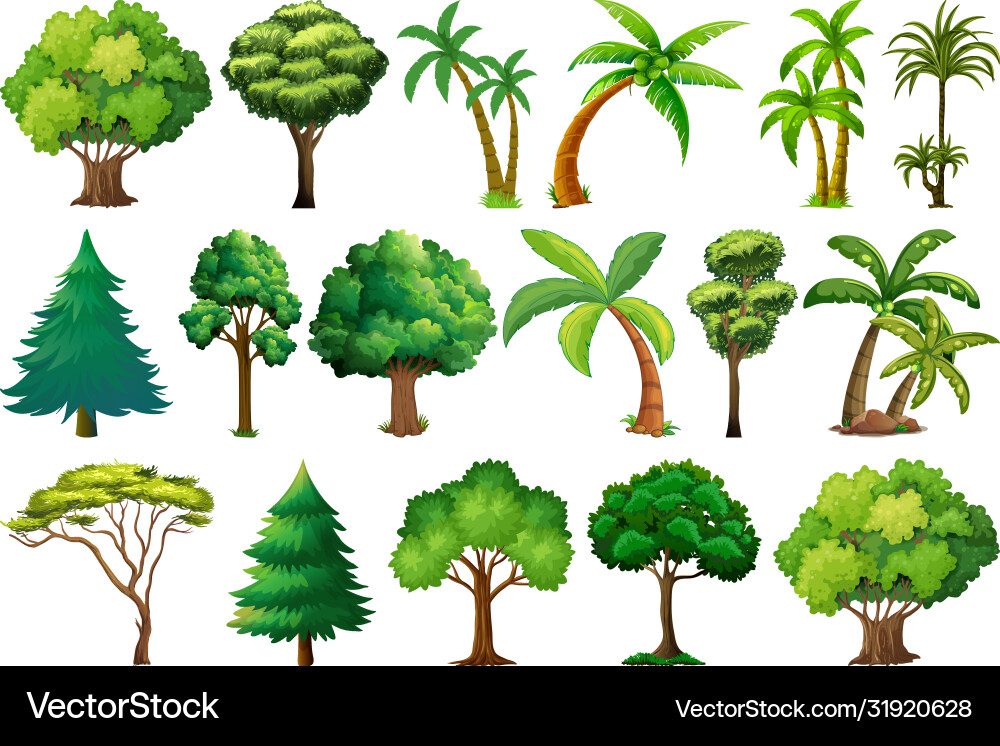 Set variety plants and trees Royalty Free Vector Image