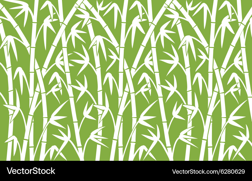 Bamboo background Royalty Free Vector Image - VectorStock