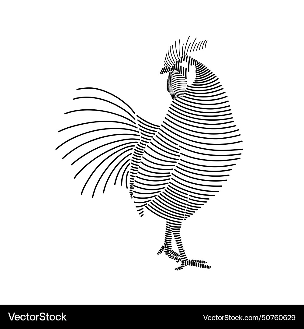 Simple line art of a rooster 3 Royalty Free Vector Image