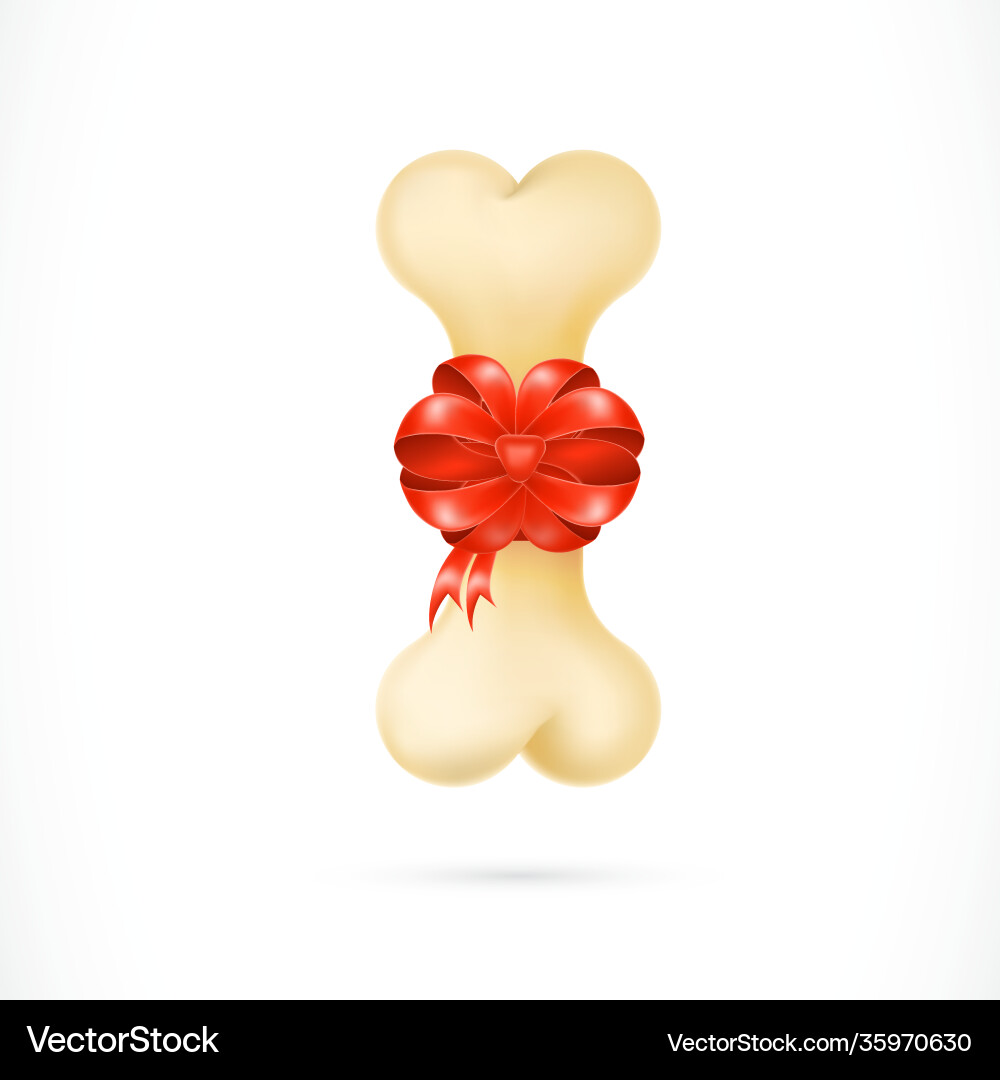 Dog bone with red ribbon Royalty Free Vector Image