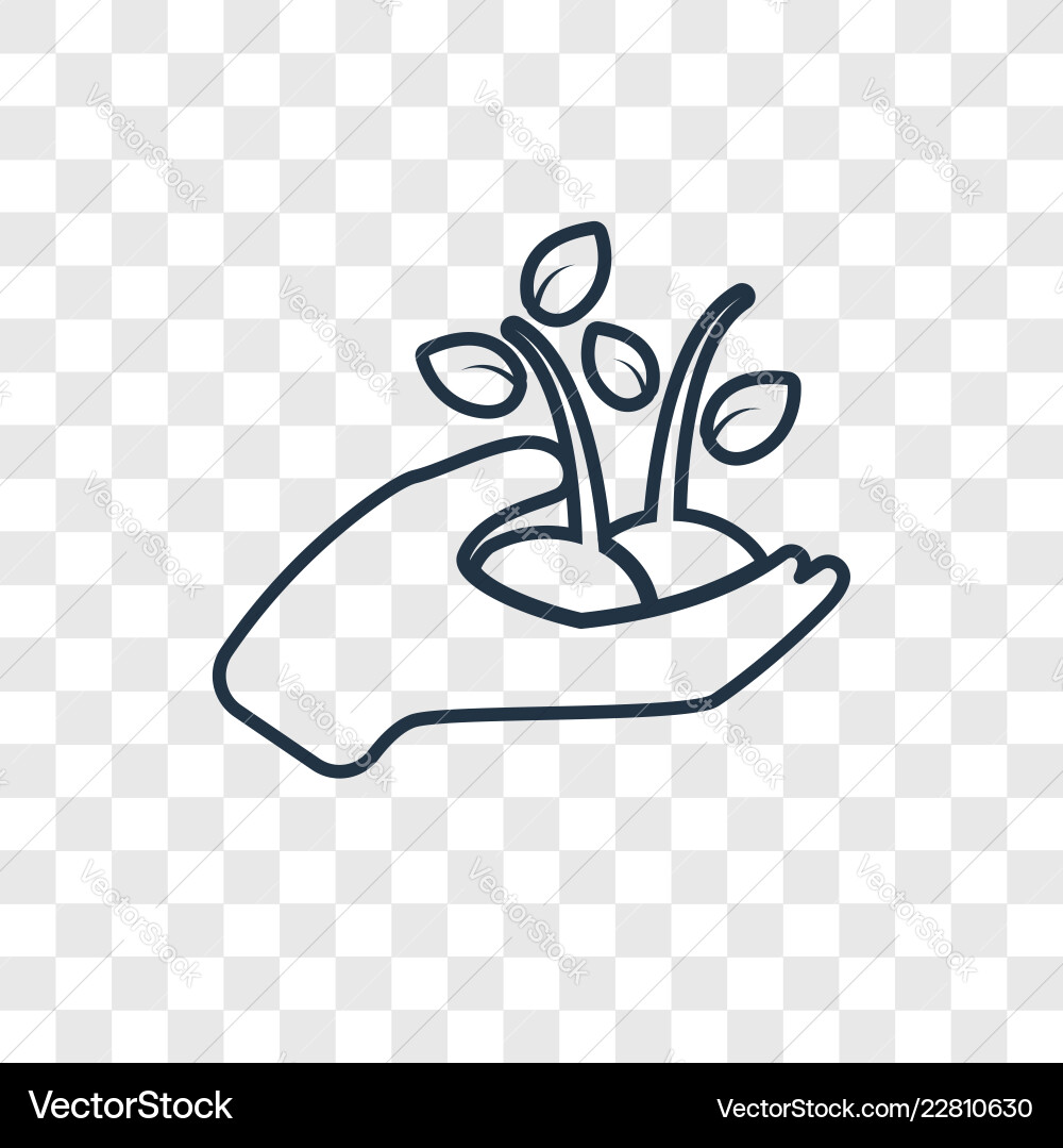 Plant a tree concept linear icon isolated Vector Image