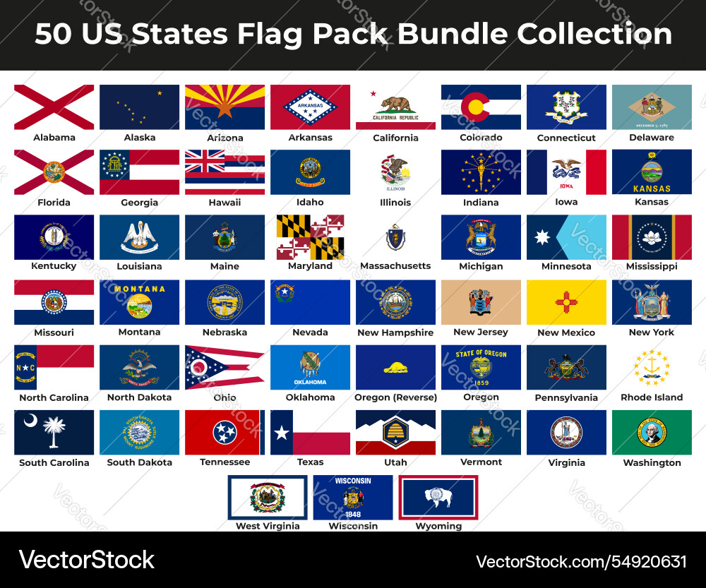50 us state flags pack bundle collection high Vector Image