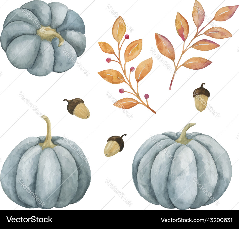 Autumn Pumpkin Watercolor Royalty Free Vector Image
