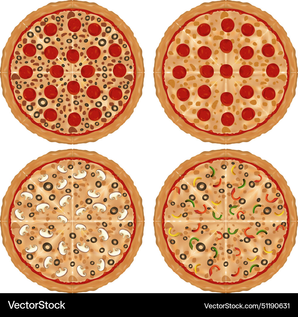 Four different pizzas with various toppings Vector Image