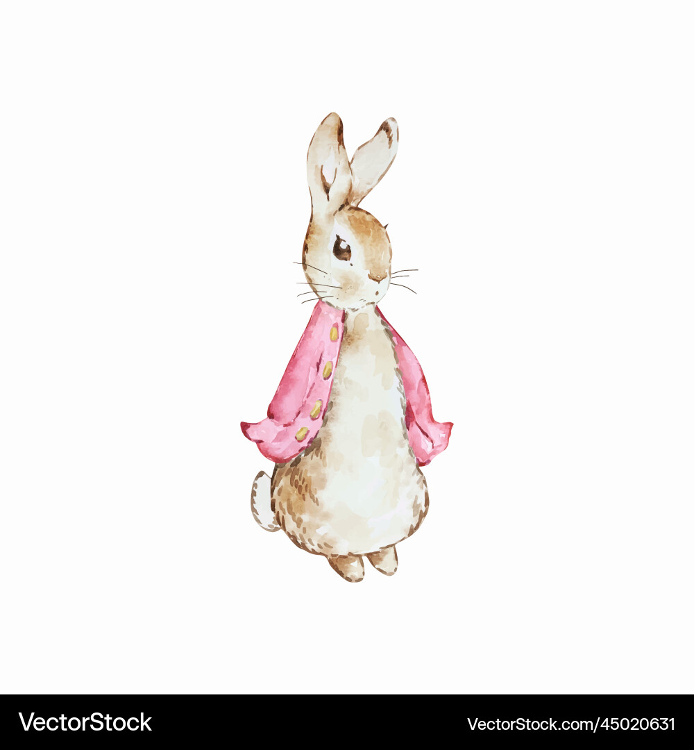 Watercolor peter rabbit in pink jacket Royalty Free Vector