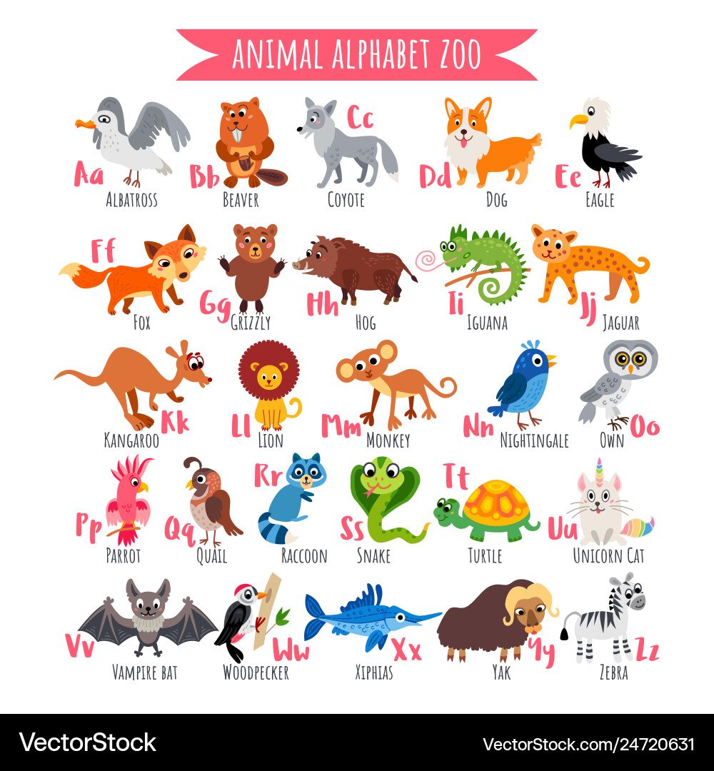 Zoo Animal Alphabet Poster - A-Z Royalty Free Vector Image