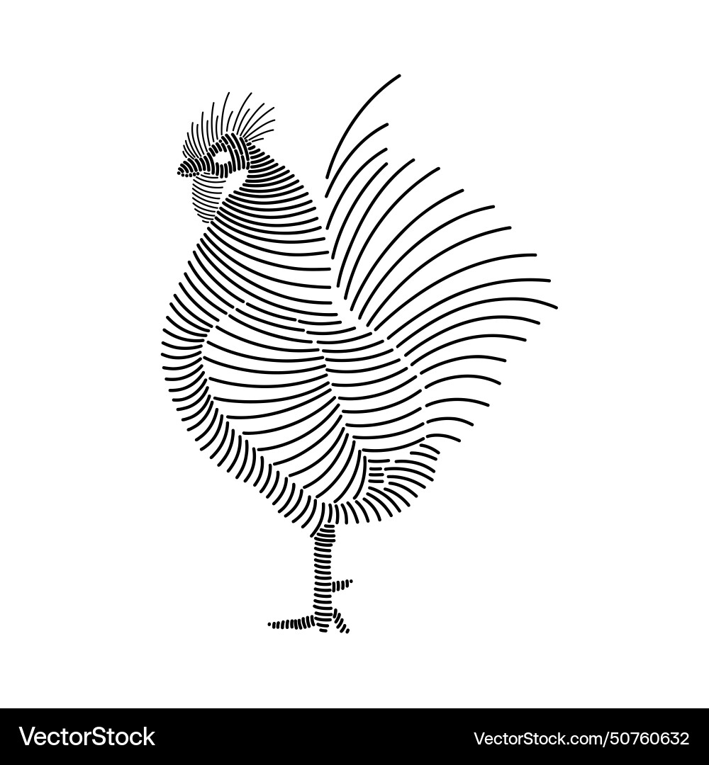 Simple line art of a rooster 2 Royalty Free Vector Image