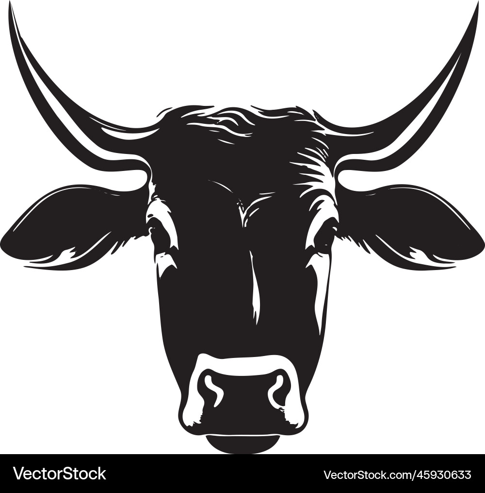 Black angus logo design template cow bull Vector Image