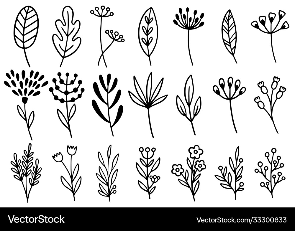 Hand Drawn Floral Doodle Set Royalty Free Vector Image