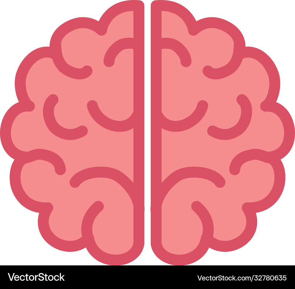 Neurology brain human on white background Vector Image