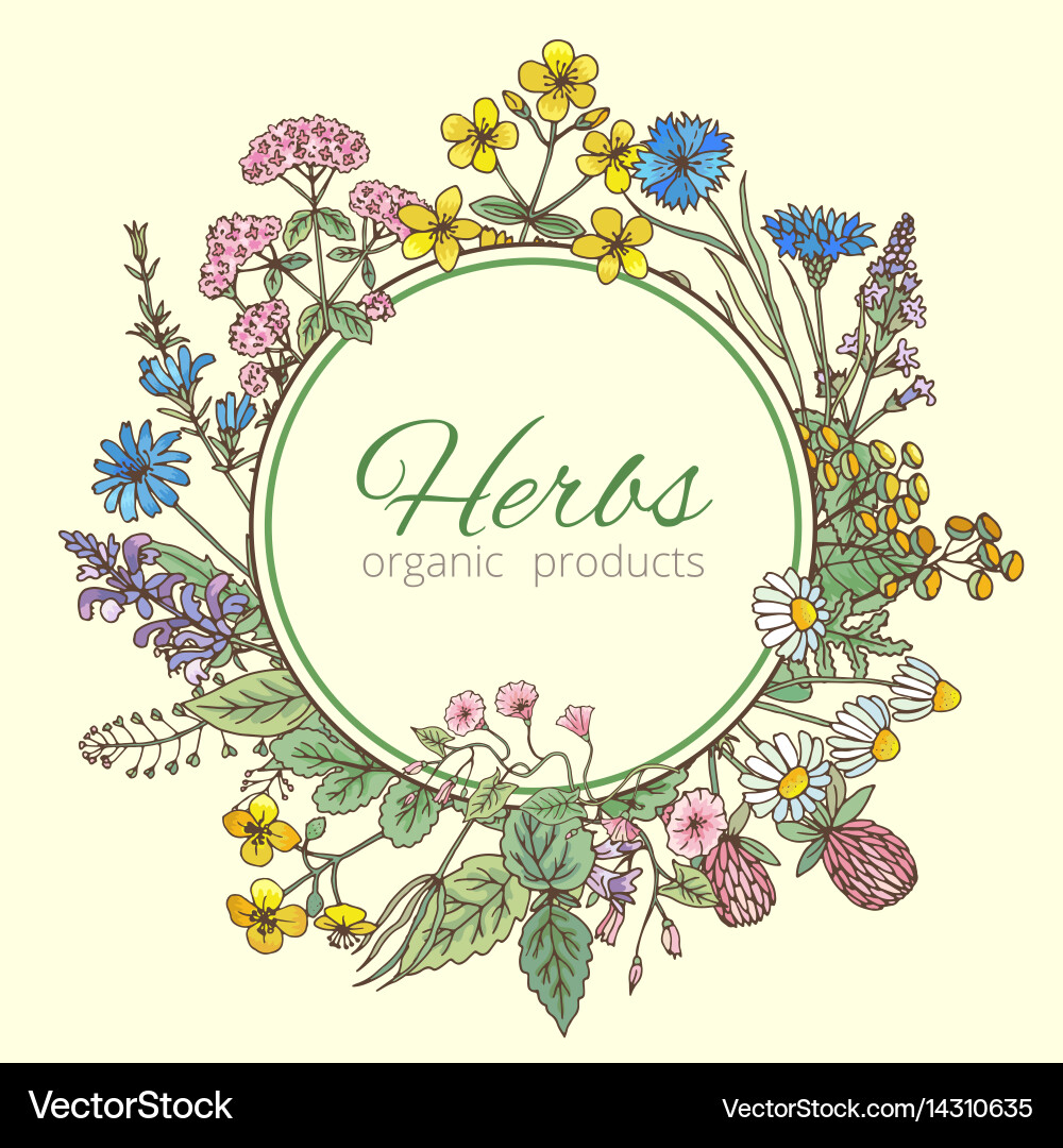 Organic Herbs Circle Emblem Royalty Free Vector Image
